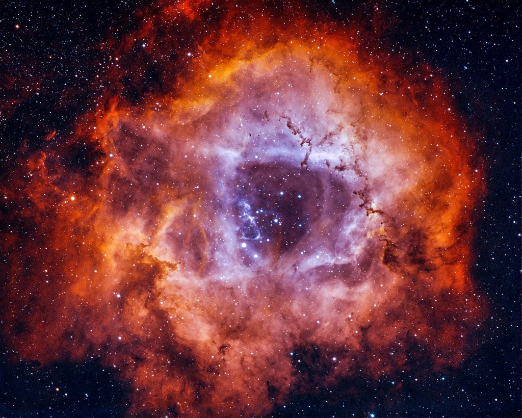 Rosette Nebula, by Dwight Talley - Richmond Astronomical Society